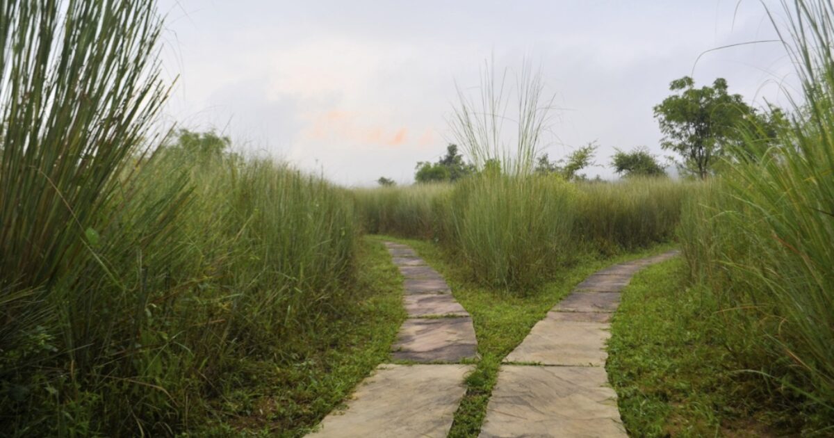 Lessen the load first and refine the structure… | David Stiernholm